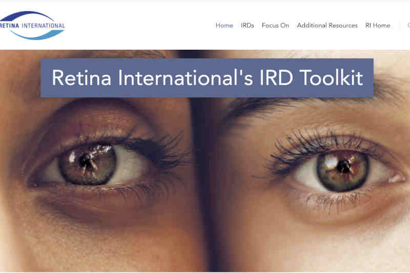 Retinal disease toolkit
